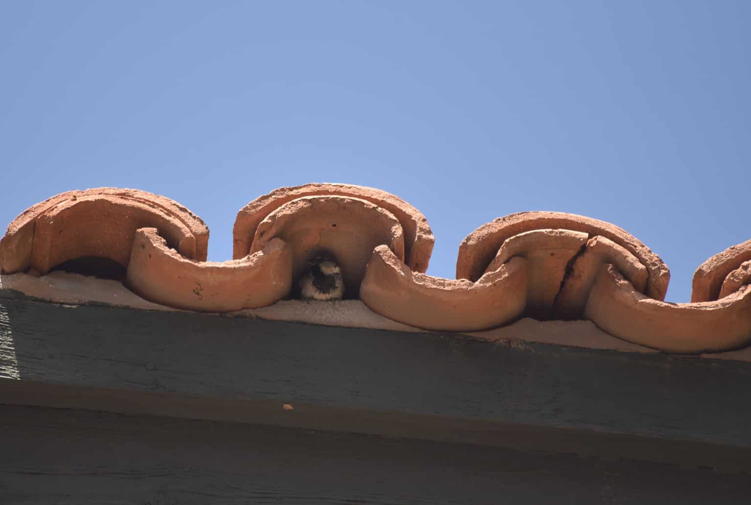 How to Install Gutter Guards to Box Gutters | Aussie Gutter Protection